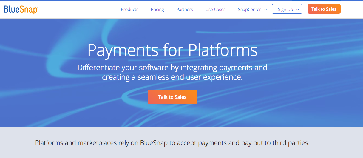 BlueSnap’s Payments for Platforms Grows 10x